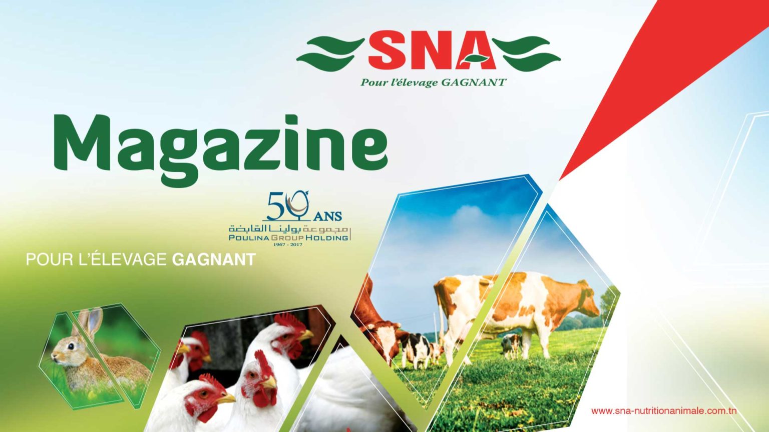 SNA : Suivez Nos Dernières Actualités et Innovations en Alimentation ...